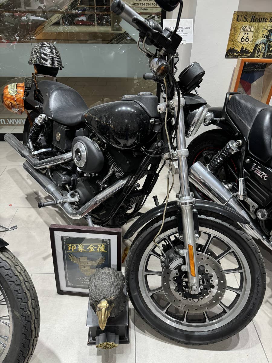 Harley-Davidson FXDB Dyna Street Bob (2001) - TipMoto.com